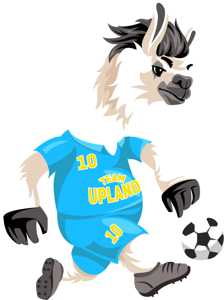 Soccer NFT Metaverse